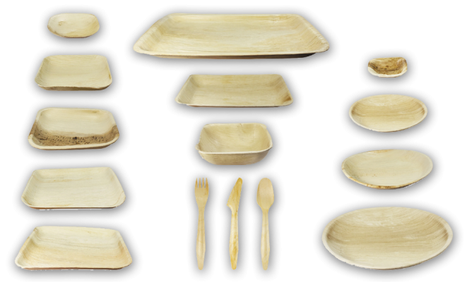 Verterra – Green Safe Products